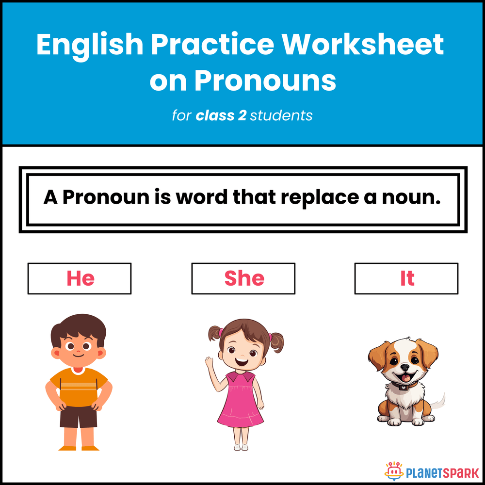 He She Pronoun Activities